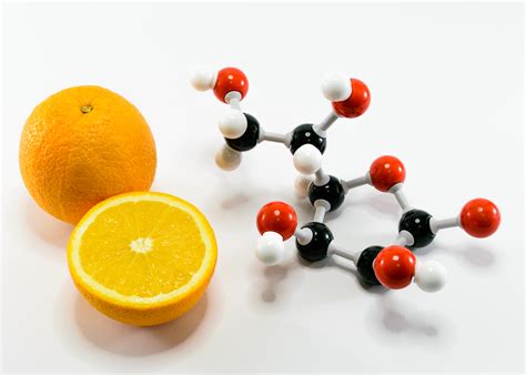 Expression Andor Activity Of The Svct2 Ascorbate Transporter May Be