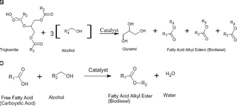 Schematic Representation Of A Transesterification And B Download Scientific Diagram
