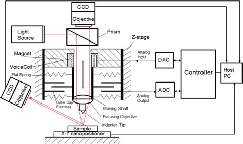 Schematics Of Afm Cantilever Stiffness Measuring Setup Translucent Download Scientific Diagram