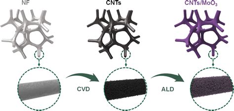 Fabrication Schematics Of Cnts Moo3 Core Shell Arrays Download Scientific Diagram