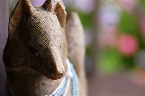 晴れているのに雨、天気雨を「狐の嫁入り」というのは何故？