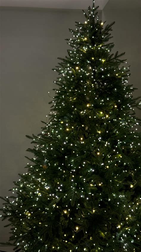 Gauhar Zhexen Кто уже посмотрел второй сезон Бриджертоны Я начала смотреть и теперь сижу