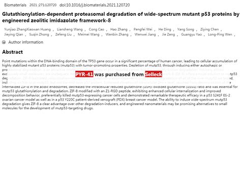 E1 Activating Ubiquitin Activating Enzyme E1