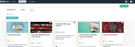 Machine Learning ML Projects MLReef Docs