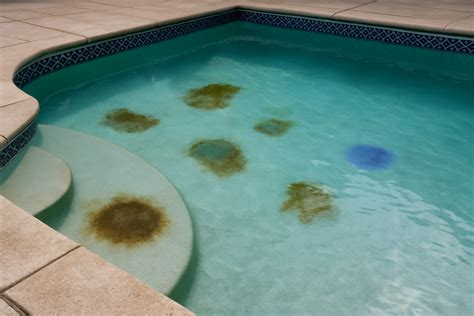 Pool Stains 101 Whats Causing That Discoloration And How To Fix It