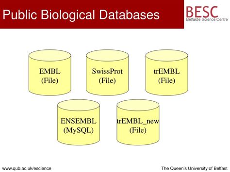 Ppt Genegrid Enhancing Bioinformatics Through Grid Based Framework Powerpoint Presentation