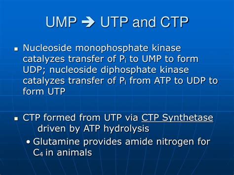 PPT Nucleotides Synthesis And Degradation PowerPoint Presentation ID 224603