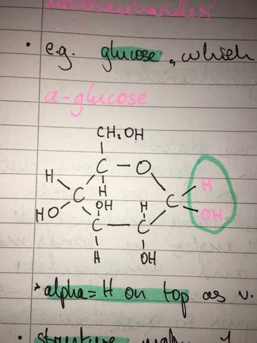 Module Section Biological Molecules Flashcards Quizlet