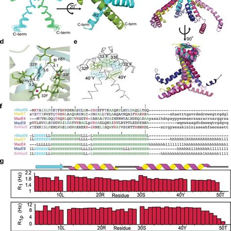 Haddock Model Of Nmaze6 Cognate Operator Dna Complex A Cartoon