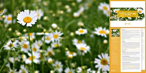 Biodiversity And Ecological Sampling Lesson Ks3 Beyond