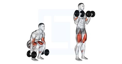 Dumbbell Incline Hammer Curl Guide Benefits And Form