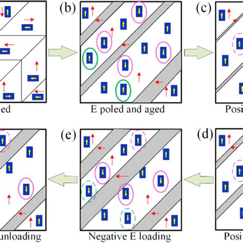 Illustration Of The Domain And Defect Dipole Evolution Processes In The Download Scientific
