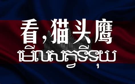 阶级敌人都得死 Bilibilib站无水印视频解析——yiuios易柚斯