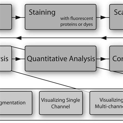 2d Transfer Function And Its Parameters Download Scientific Diagram