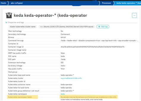 Dynatrace Operator Cloud Native Full Stack Pod Injection Validation