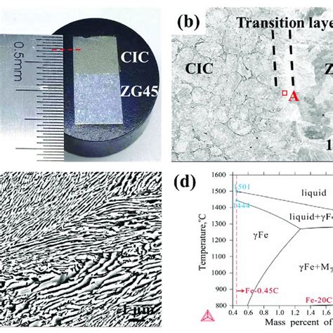 a macrograph of as cast cic 3 b sem micrograph of as cast cic 3 at
