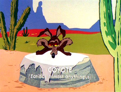 13 Looney Tunes The Road Runner In Guided Muscle 1955