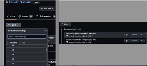 install kamailio sip server from source code and make test calls ai