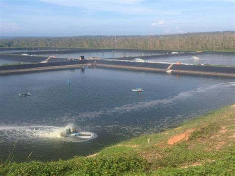 Ldpe Geomembrane Geomembrane Manufacturer And Supplier