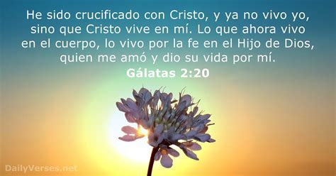 Gálatas 220 Versículo De La Biblia