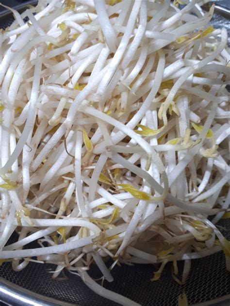 어린이반찬~숙주훈제돼지고기볶음