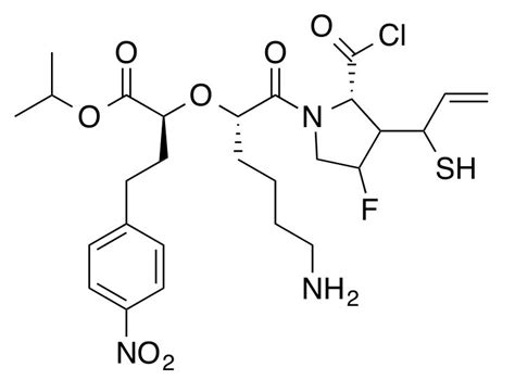 Functional Group Practice Diagram Quizlet