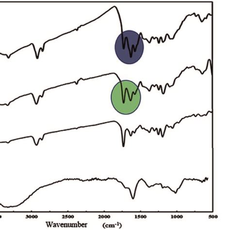 Ft Ir Spectra Of Go A J Pcl Go B J Pcl Go Copolymer C And