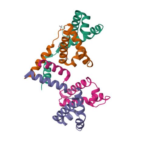 Rcsb Pdb 1xwr Crystal Structure Of The Coliphage Lambda