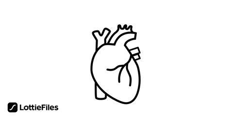 Free Beating Heart Animation By Haad Anjum Lottiefiles