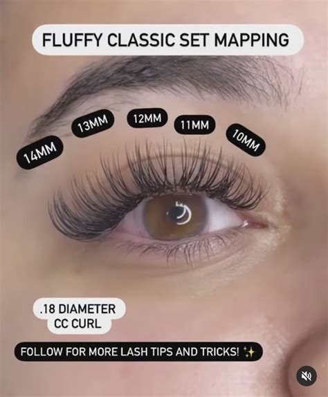 Lash Mapping Classic Lash Map Artofit