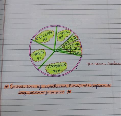 Royal Patel Mpharm Pgdcr Phd Research Scholar On Linkedin
