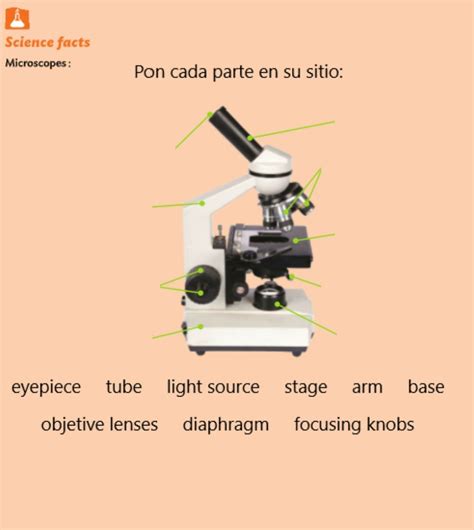 Microscope Parts Worksheet Answers Writing Practice Worksheet