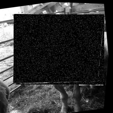 Goat Cow Sheet Detection Object Detection Model By Deep Learning For