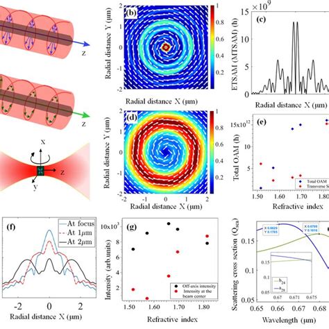A Schematic Diagrams Of Radially And Azimuthally Polarized Structured Download Scientific