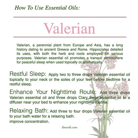 How To Use Essential Oils Valerian Lens Oils