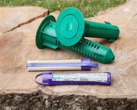 How Termite Baiting Disrupts Entire Colonies