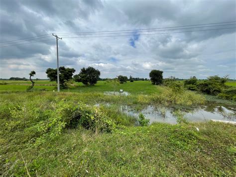 Lambda Real Estate Land For Sale In Phum O Dambang Pir Battambang