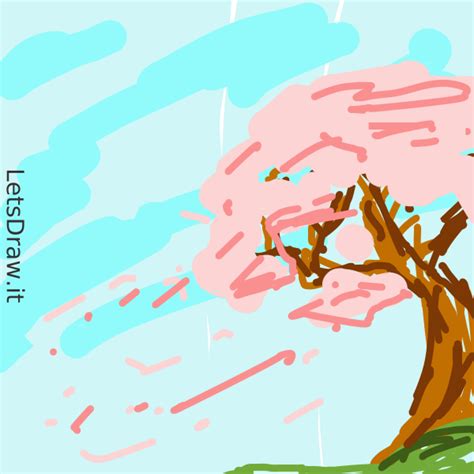 How To Draw Sakura Knzstrbpr Png LetsDrawIt