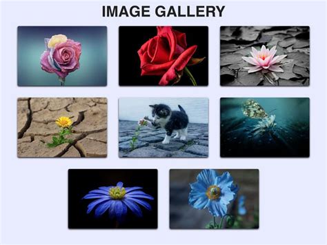 Discover 370 Html Css Javascript Projects And Html Css Ideas On This