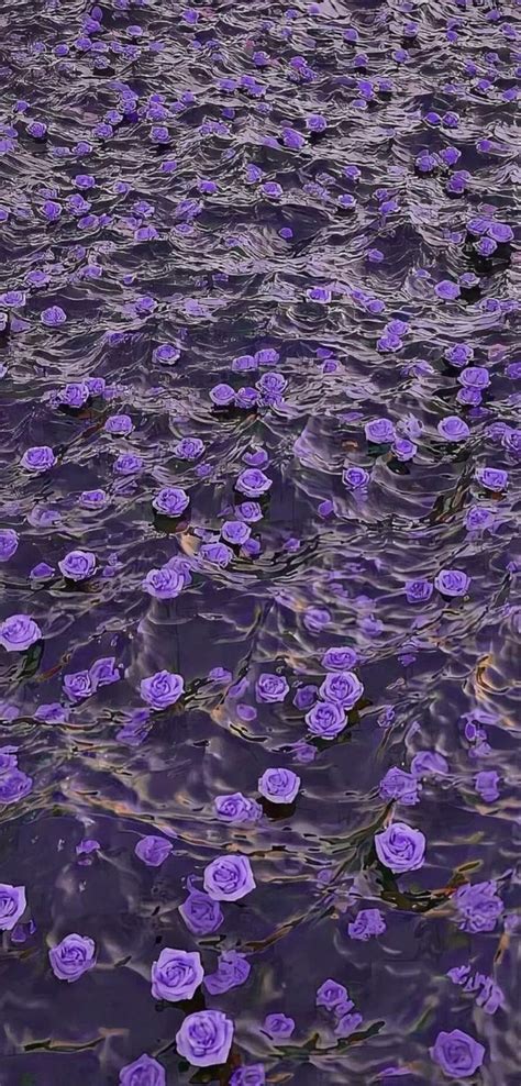 Python爬虫 爬取美女图片 小清新时光与你同在 知乎