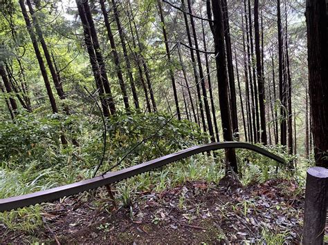 河村城址洒水の滝ハイキングコース 山北町