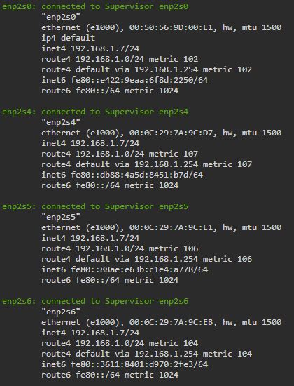 Multiple Nics As Network Switch Configuration Home Assistant Community