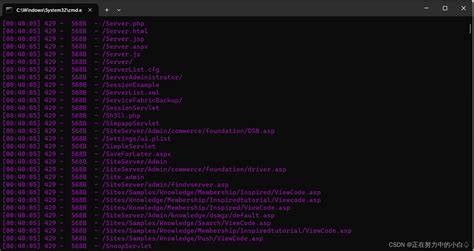 代码审计：逃逸技巧与git源码泄露 Csdn博客