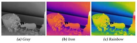 Thermal Images In Grayscalea And Pseudo Color Bc 14 Download