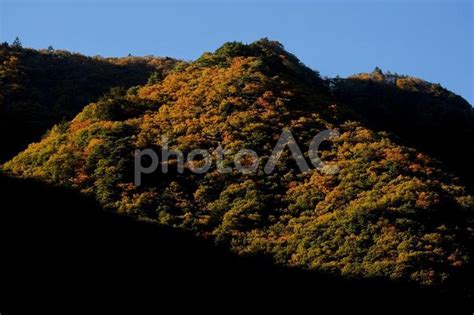 秋の山肌 No 1358194｜写真素材なら「写真ac」無料（フリー）ダウンロードok
