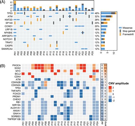 Mutational Profile And Copy Number Variation Cnv Profile Of Mantle Download Scientific