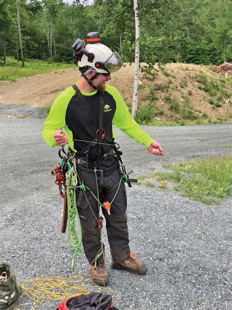 Tools Of The Trade For Tree Climbing Tree Care Industry Magazine