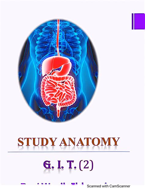 Git 2 Git Anatomy Anatomy Studocu