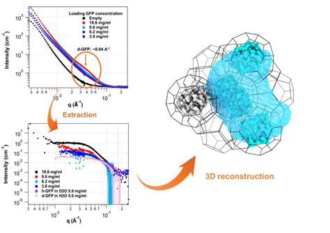 Spatially Confined Protein Assembly In Hierarchical Mesoporous Metal