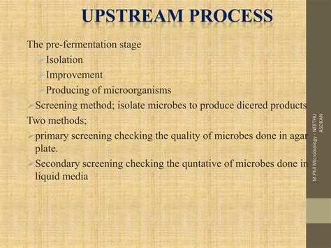 Upstream And Down Stream Process PPTX
